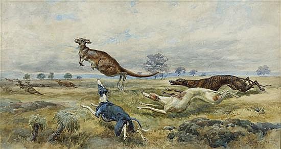 Freya Mathews: Život se zvířaty • Pilgrim – potulná univerzita přírody